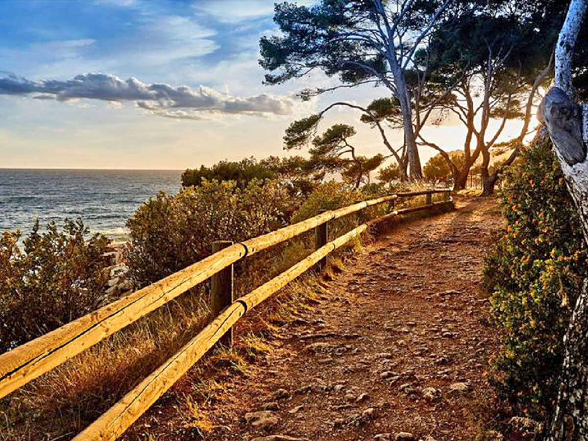 Bandol Coastline